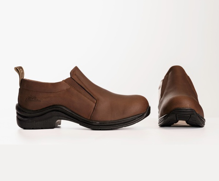 Cavallino Lifestyle Shoes