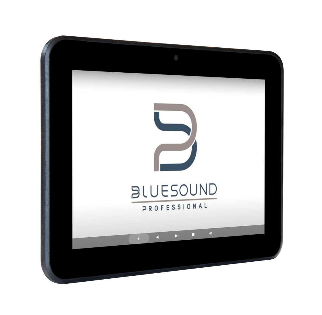 Bluesound Professional | Connected Media