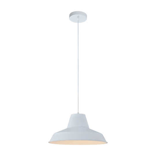Hanging Lights/Pendant Lights