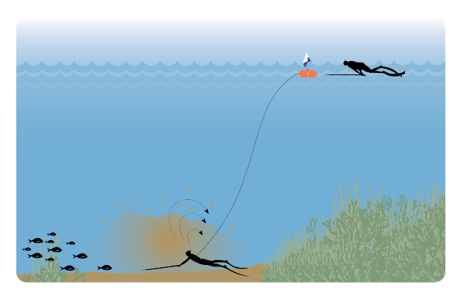 Tarakihi Hunting Techniques | Ocean Hunter New Zealand